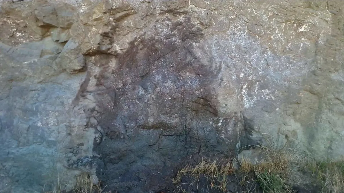 La empresa de transporte reparó el grafiti que pintó "Gustavo ...